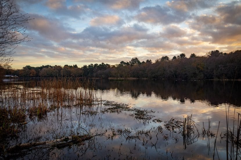 Watching the sun go down by Bracebridge pool, Sutton Park » Damien ...