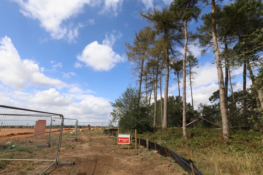 The damage to 16 acre wood » Damien Walmsley | Photography Rebel