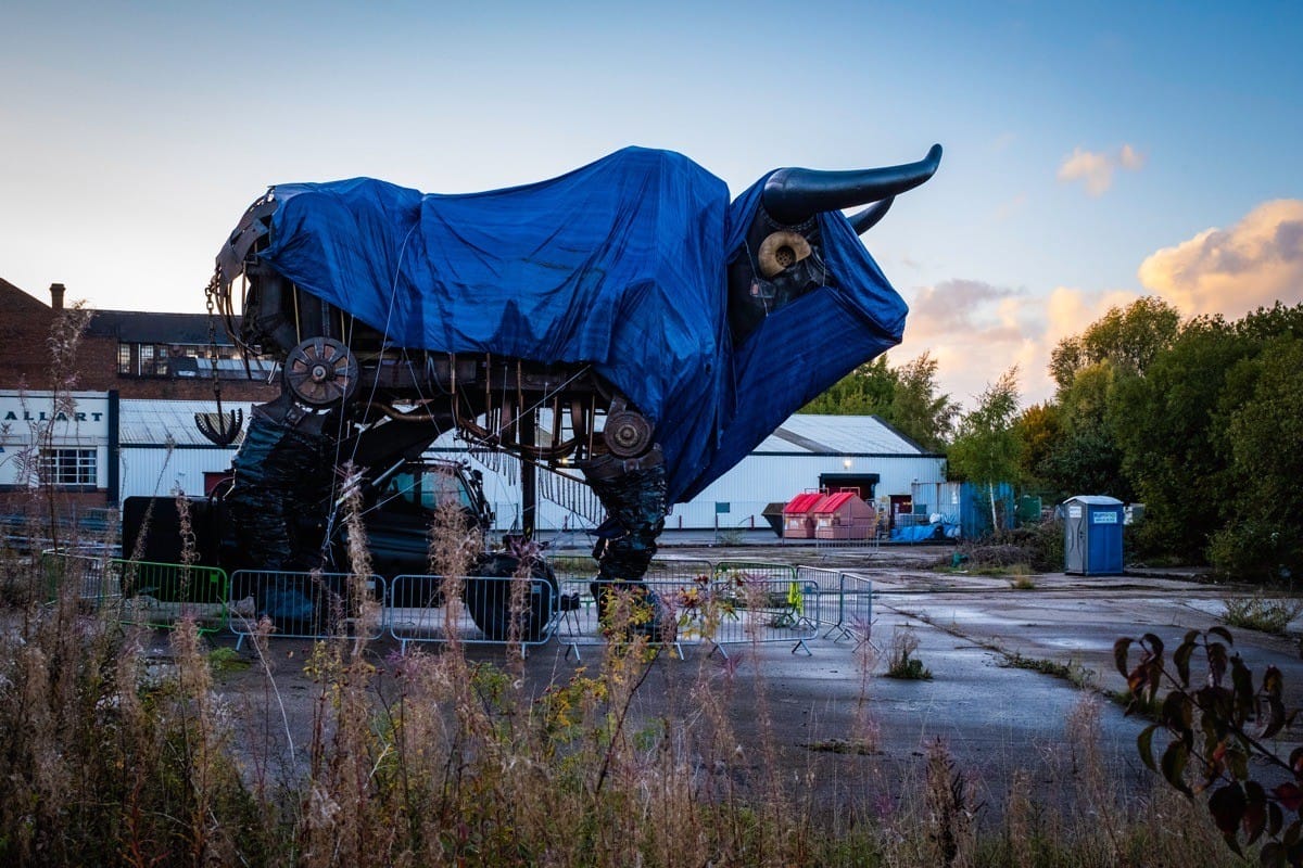 The Fate of the Bull » Damien Walmsley | Photography Rebel